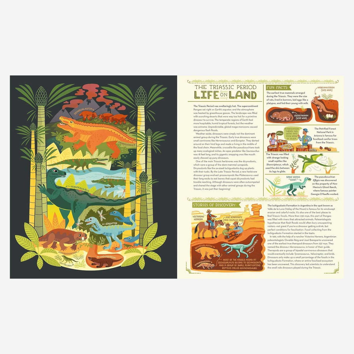 Dinosaurs Exploring Prehistoric Life By R. Ignotofsky – Dearly